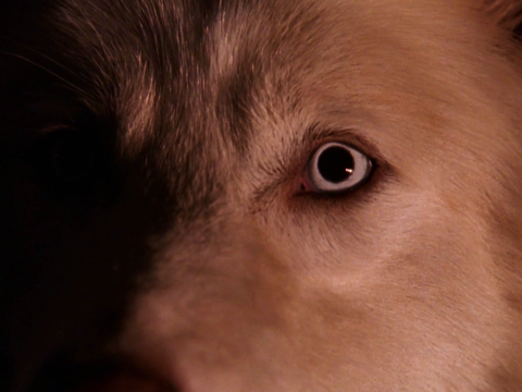 The Daily Smallville 02:10 Skinwalkers – The Daily Rios